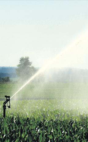 Using every precious drop