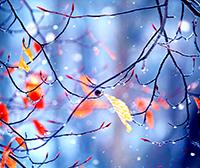 Expect a cold, rainy weekend