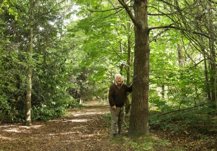 Reflecting on a leafy legacy