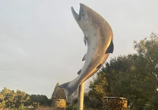 Scaling up: Rakaia's Salmon statue needs a makeover