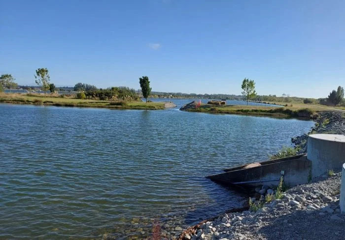 Algal bloom health warning at Lake Hood
